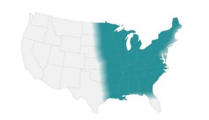 MiraVista VETERINARY Diagnostics asks: What is Blastomycosis?