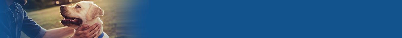 MiraVista VETERINARY Diagnostics asks: What is Cryptococcosis?