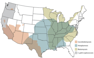 MiraVista VETERINARY Diagnostics: General Fungal Disease Information