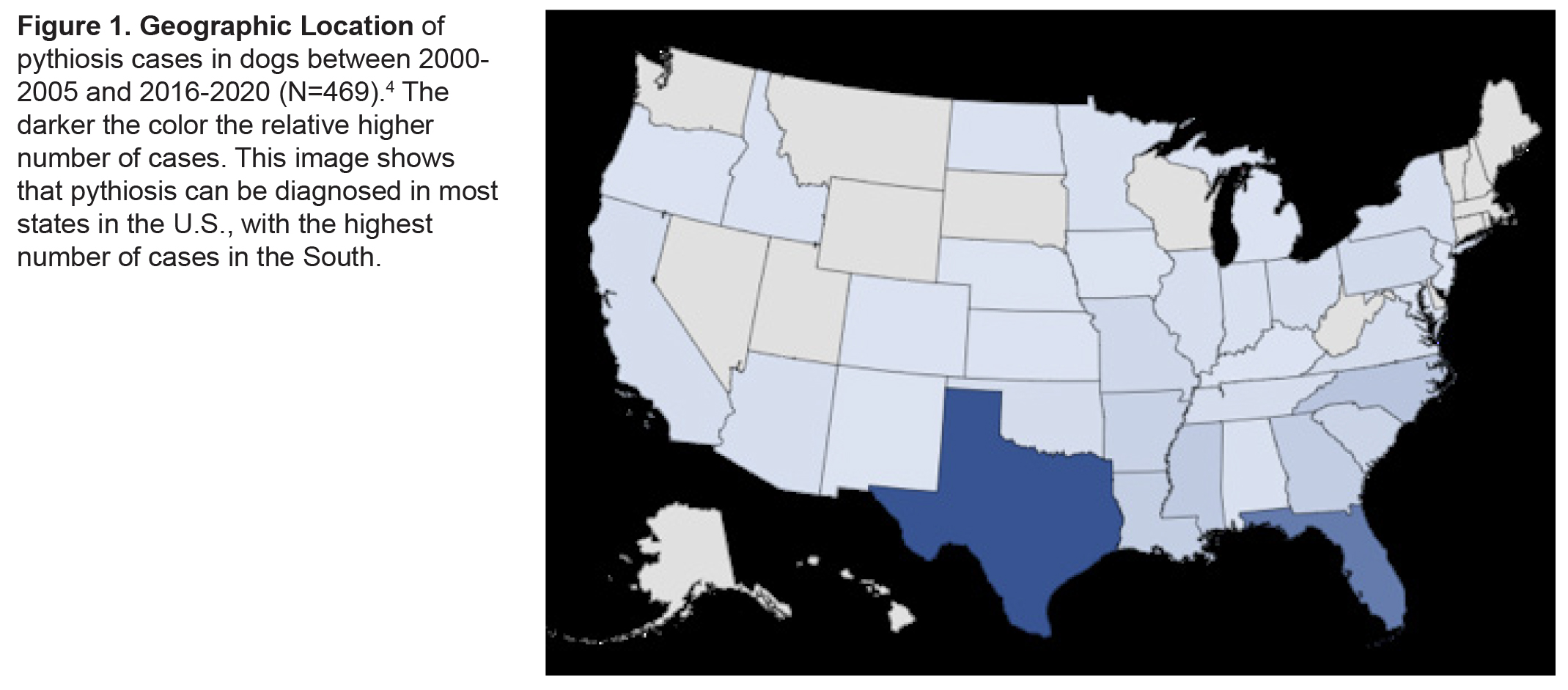 Pythiosis in Small Animals - MiraVista VETERINARY Diagnostics